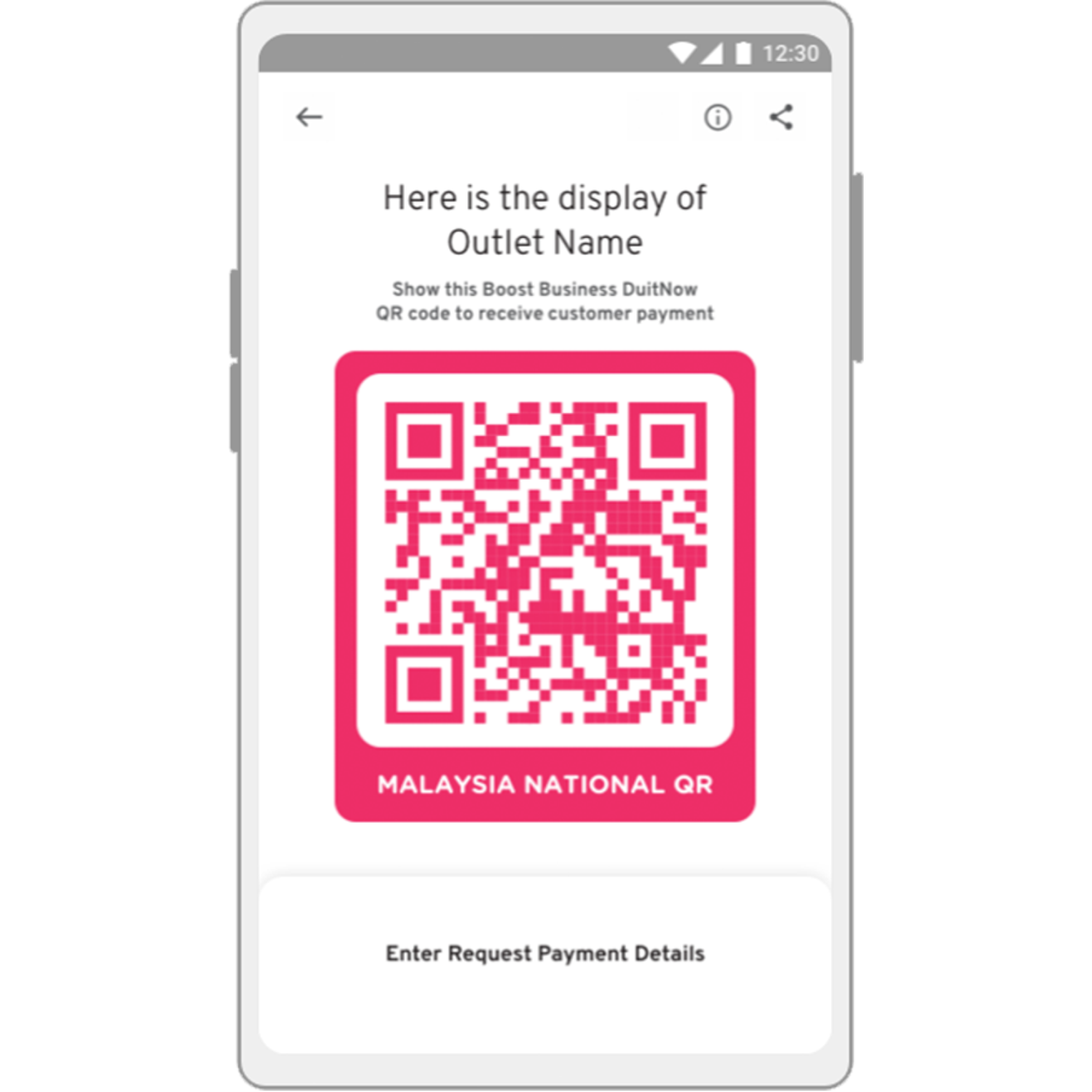 Receive Payments | Boost